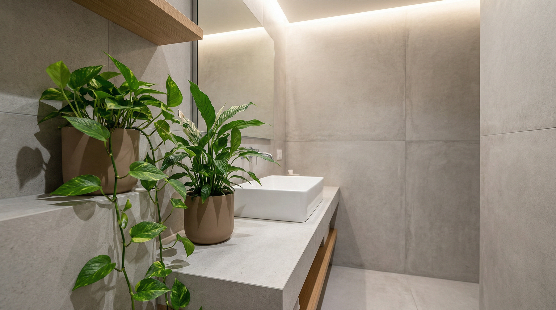 Piante in bagno umido: muffa e condensa cosa scegliere — i Giardini di ...